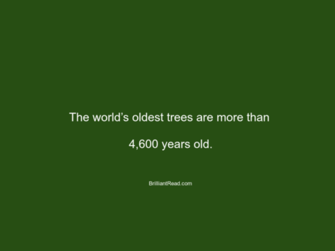 12 Powerful and Interesting Facts About Environment – BrilliantRead Media