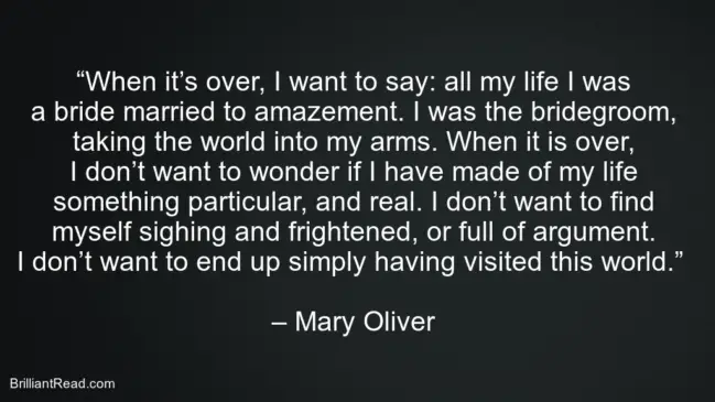 Top 20 Solo Travel Quotes for You (Solo Trip) – BrilliantRead Media