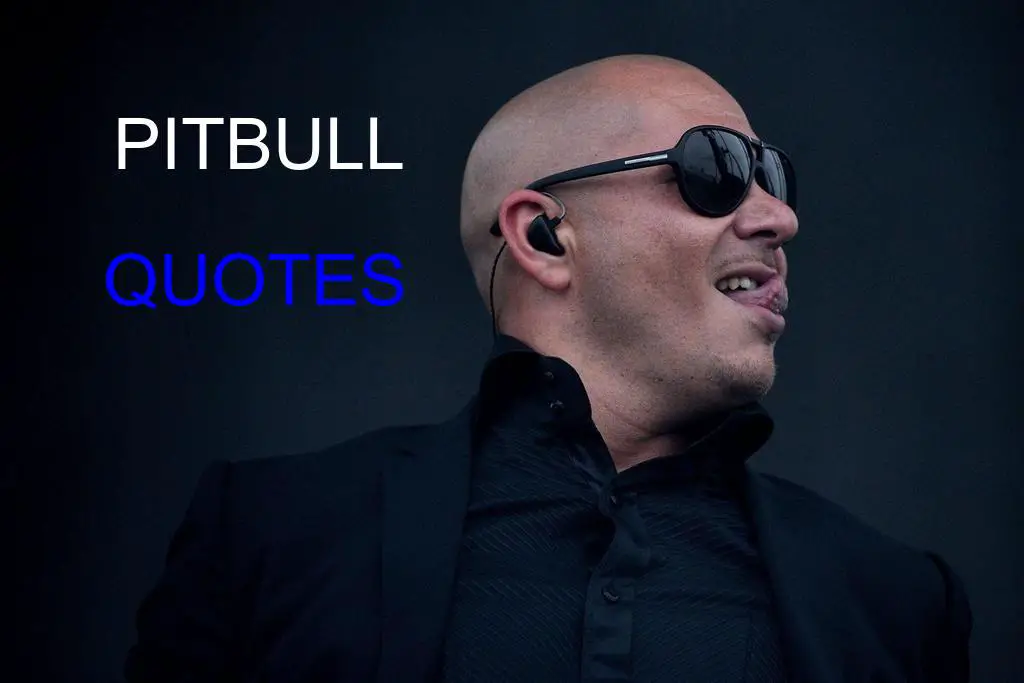 20 Best Pitbull Quotes on Life, Success & Business - BrilliantRead Media