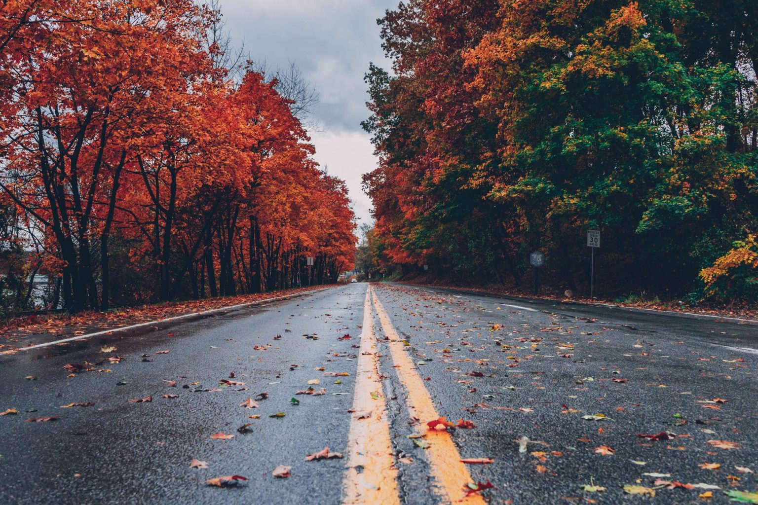 50 Inspirational Quotes About Autumn Season (Fall) – BrilliantRead Media