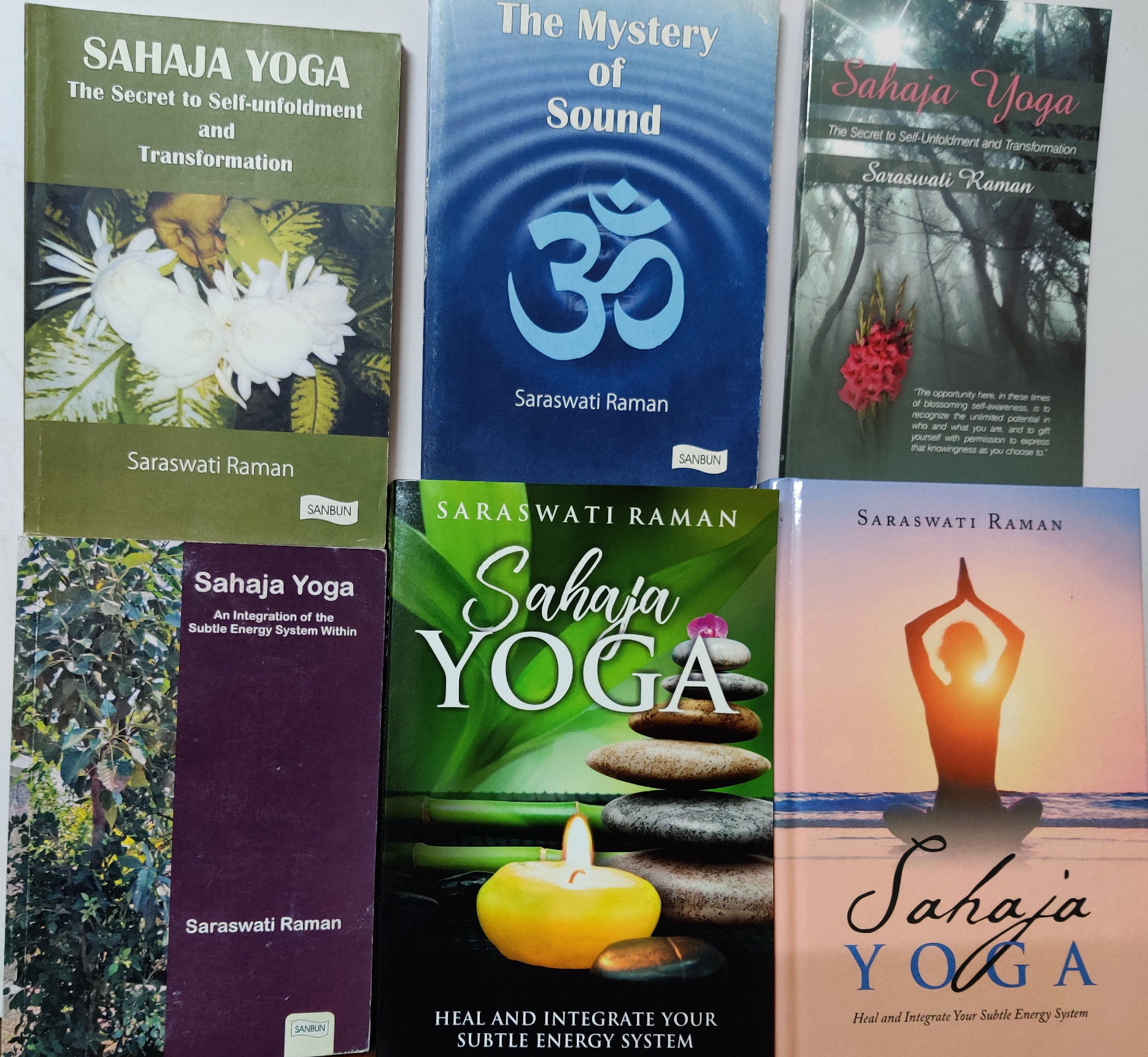 Interview with Saraswati Raman | Author | Leader | Ex Banker | Trainer ...