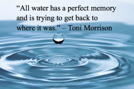 50 Best Water Drop Quotes (Save Water) – BrilliantRead Media