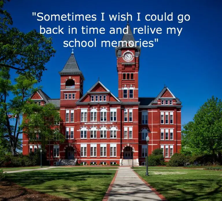 100 School Friends Quotes about School Life – BrilliantRead Media