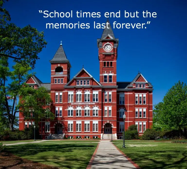 100 School Friends Quotes about School Life – BrilliantRead Media
