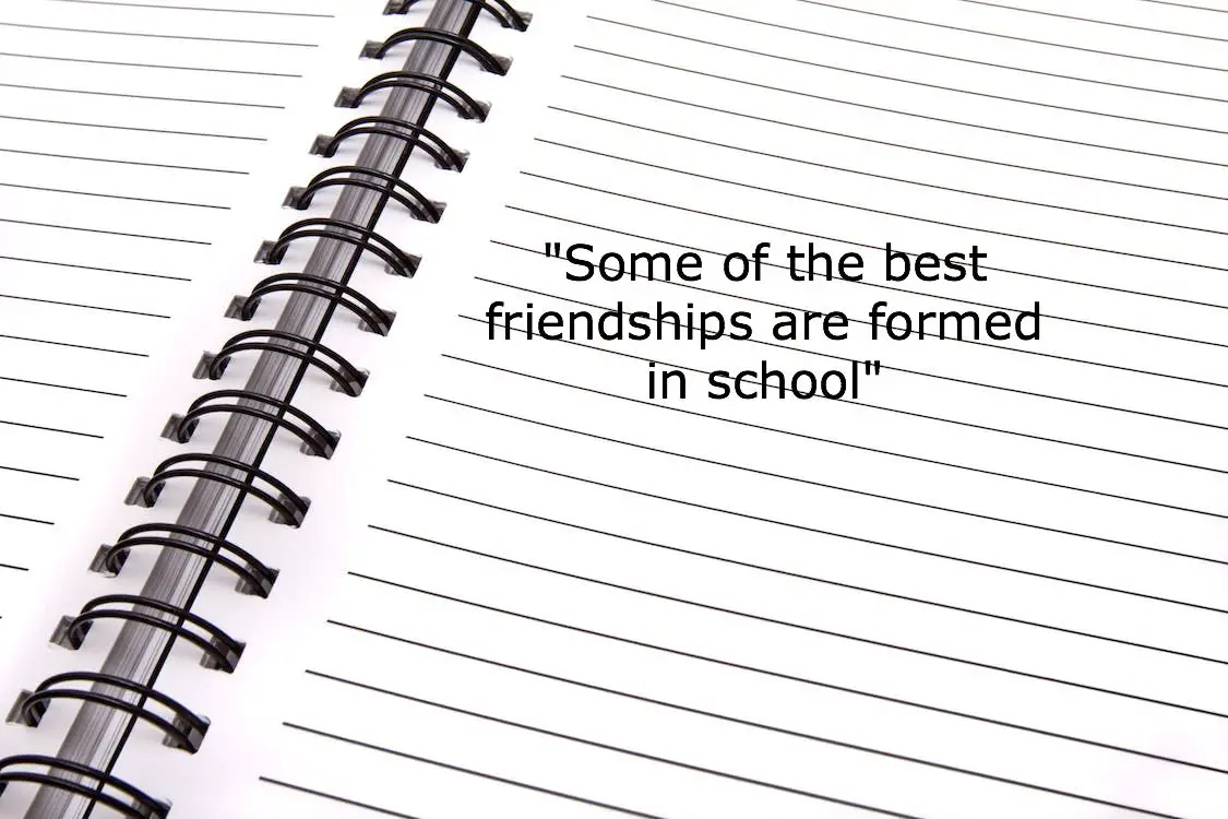 111 School Memories Quotes On School Days – BrilliantRead Media