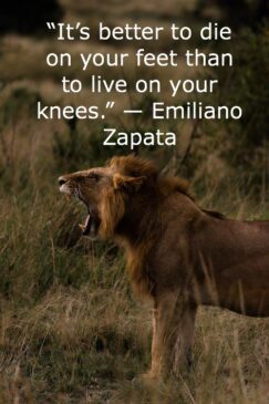 Top 20 Alpha Male Quotes To Inspire Others – BrilliantRead Media