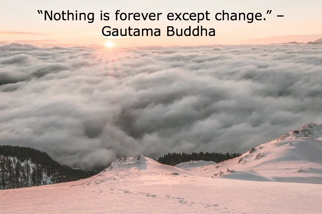 Top 50 Nothing is Permanent Quotes, Messages and Sayings ...