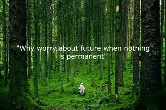 Top 50 Nothing is Permanent Quotes, Messages and Sayings ...