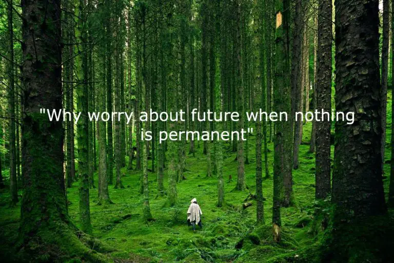 Top 50 Nothing is Permanent Quotes, Messages and Sayings ...