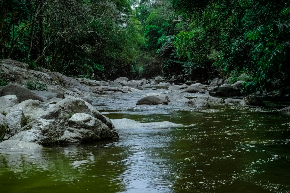 Best River Captions and Quotes – BrilliantRead Media